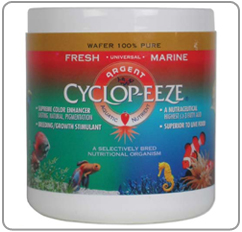 Cyclop-eeze Dry Wafer - Argent