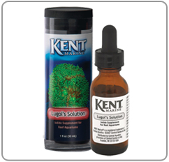 Lugols Solution - Kent Marine