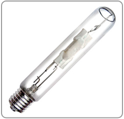 Metal Halide Bulbs - XM