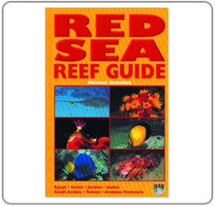 Red Sea Reef Guide by Helmut Debelius