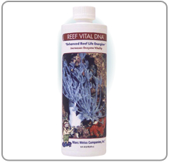 Reef Vital DNA - Marc Weiss