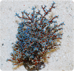 开云(中国)Kaiyun最新在线登录入口-IOS/安卓通用版/手机APP