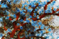 开云(中国)Kaiyun最新在线登录入口-IOS/安卓通用版/手机APP